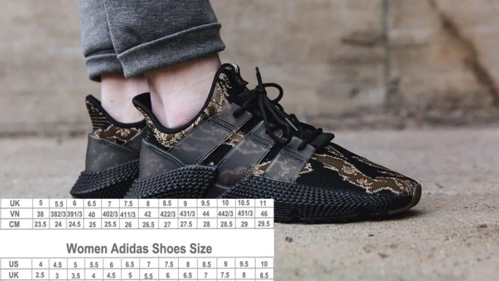 Hướng dẫn chọn size áo ADLV - ADLV size chart 2022