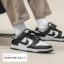 Giày Nike Dunk Low Retro GS 'Panda' CW1590-100